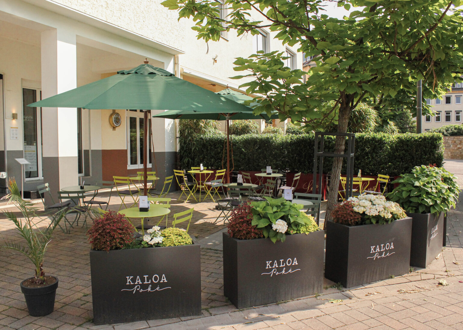 Unser KALOA Poké Store | KALOA Poké